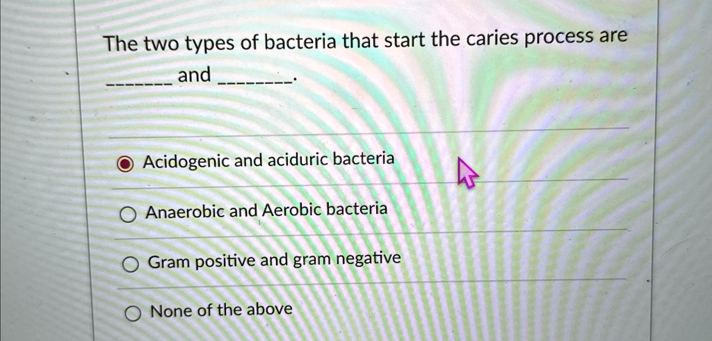 The two types of bacteria that start the caries process are and ...