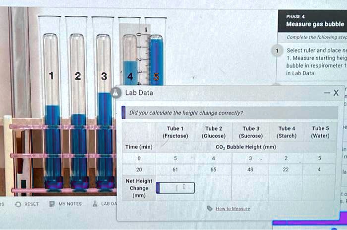 [GET ANSWER] piuse mcasure gas bubble compicte tnc follomirlo select ...