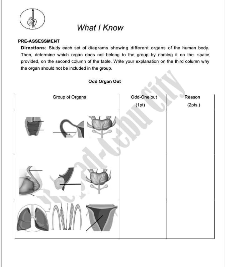 PRE-ASSESSMENT What I Know Directions: Study each set of diagrams ...