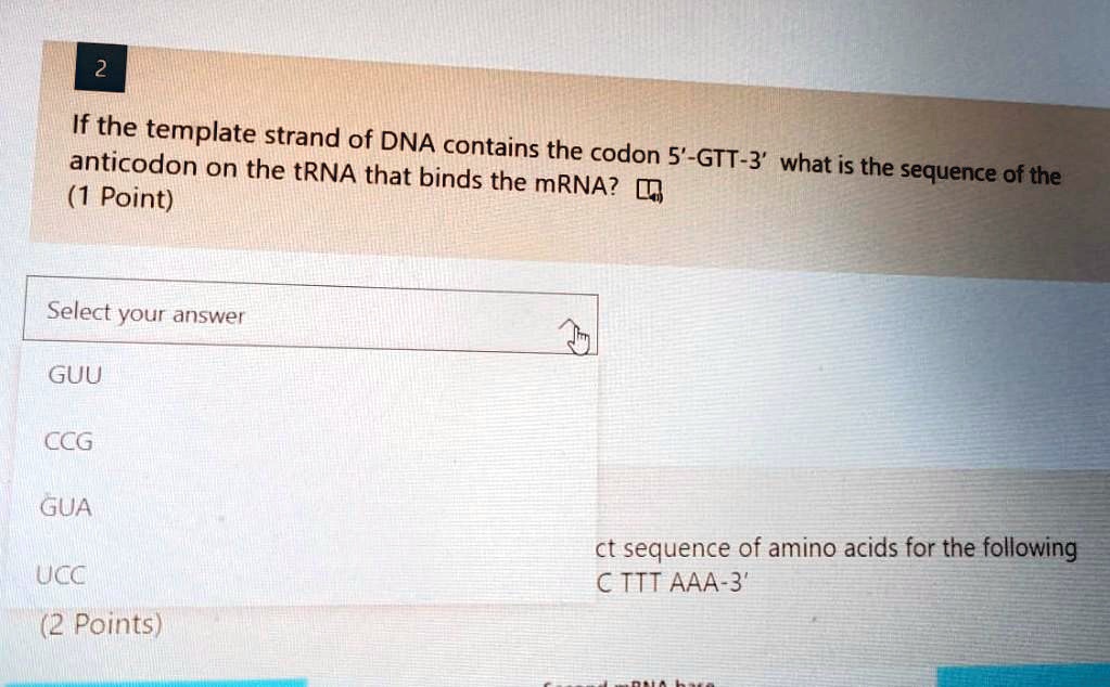 if the template strand of dna contains anticodon on the trna that binds ...
