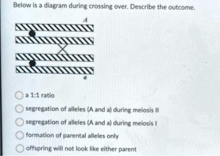 SOLVED: Below is a diagram showing crossing over. Describe the outcome ...