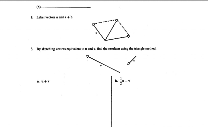 labcl vectors and t6 by sketching vectors equivalent 0 and find the ...