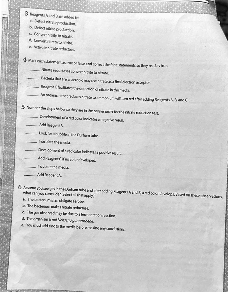 SOLVED: 3 Reagents A and B are added to: a. Detect nitrate production ...