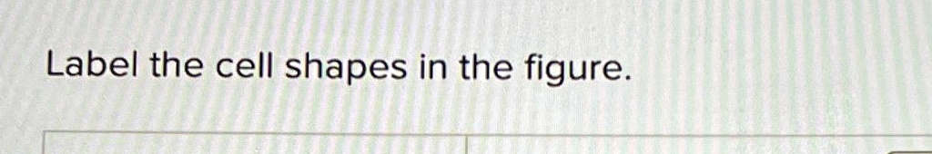 SOLVED: Label the cell shapes in the figure. Label the cell shapes in ...