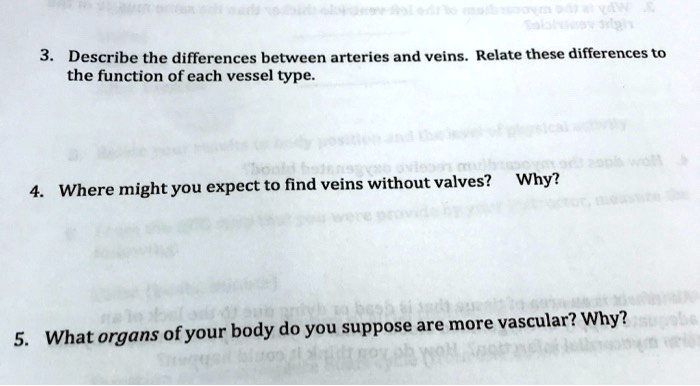 SOLVED: Describe the differences between arteries and veins. Relate these differences to the ...