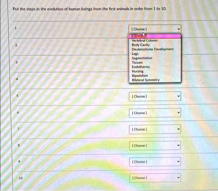 [GET ANSWER] Put the steps in the evolution of human beings from the ...