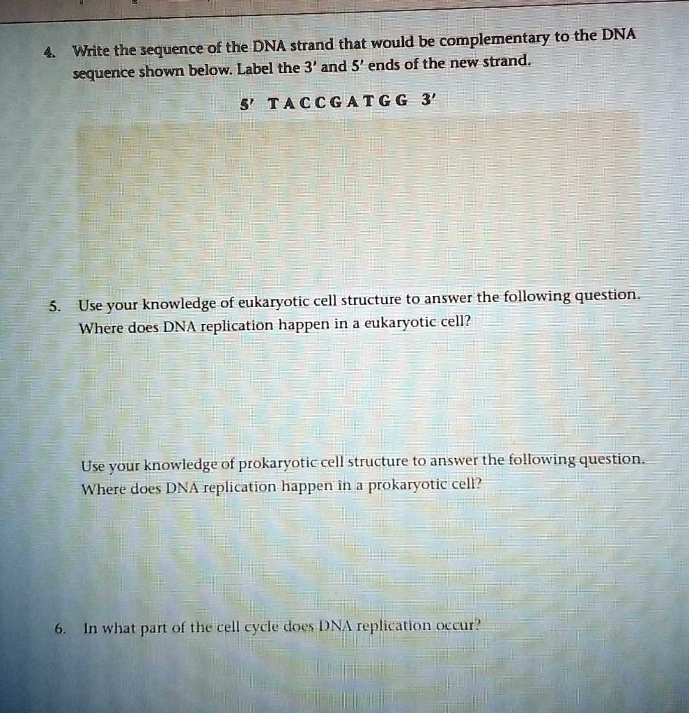 of the dna strand that would be complementary to the dna write the sequence sequence shown below ...