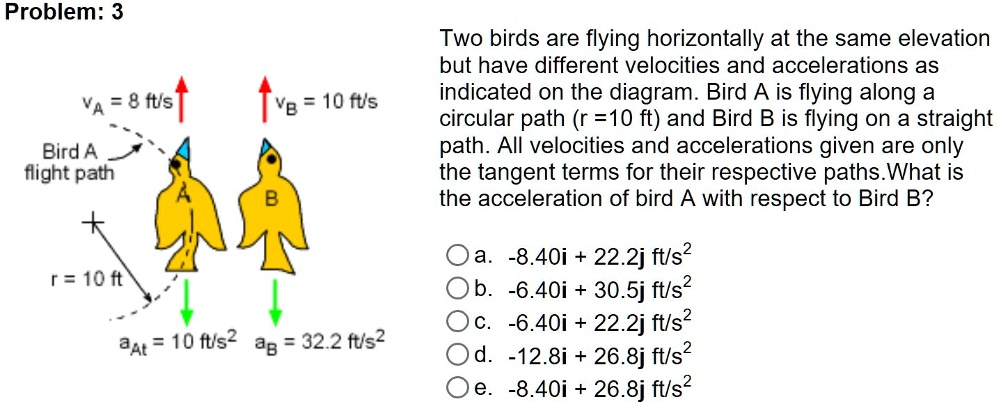 SOLVED: Problem: 3 Two birds are flying horizontally at the same ...
