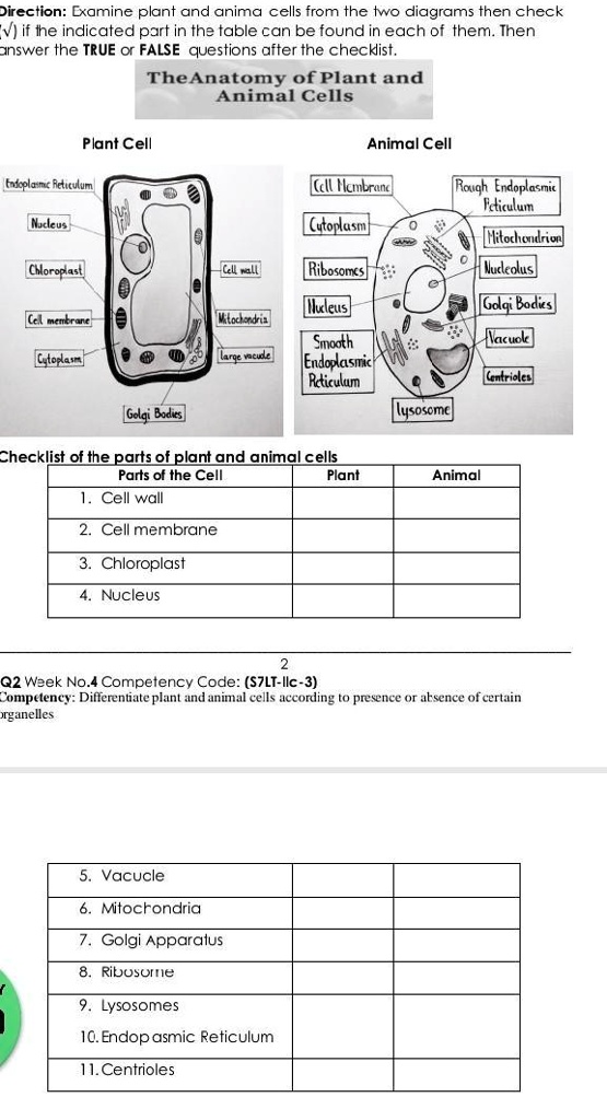 Direction: Examine plant and anima cells from the two diagrams then ...