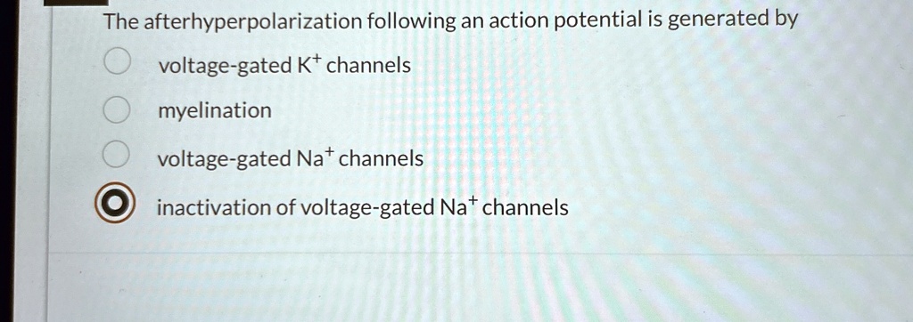 The afterhyperpolarization following an action potential is generated ...