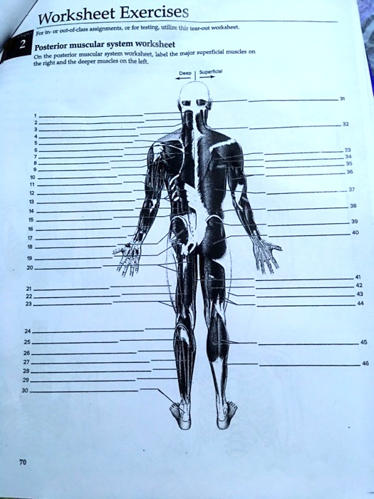 SOLVED:Worksheet Exercises vtdd Onlor testink hby tar out norkshcot ...