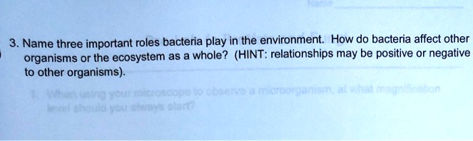 SOLVED: Name three important roles bacteria play in the environment ...