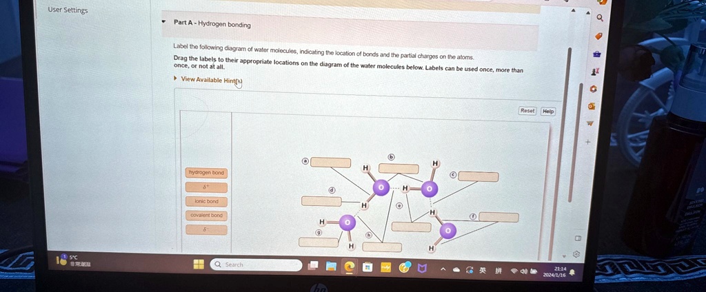 User Settings Part A - Hydrogen bonding Label the following diagram of ...