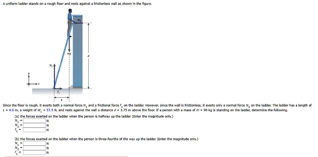 SOLVED: uniform ladder stands on rough floor and rests against frictionless wal as shown in the ...