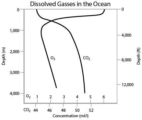 Dissolved Gasses in the Ocean Depth (m) 0 1,000 2,000 3,000 4,000 O2 CO2 44 46 48 50 52 ...