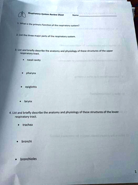 resplratory system review sheet narme respiratory tract nasal cavity ...