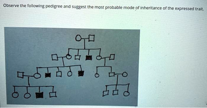 Solved Observe The Following Pedigree And Suggest The Most Probable