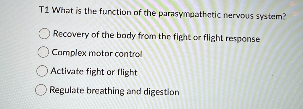 t1 what is the function of the parasympathetic nervous system recovery ...