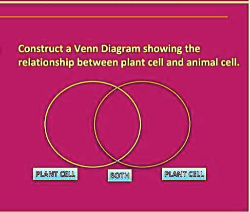 Construct a Venn Diagram showing the relationship between plant cell ...