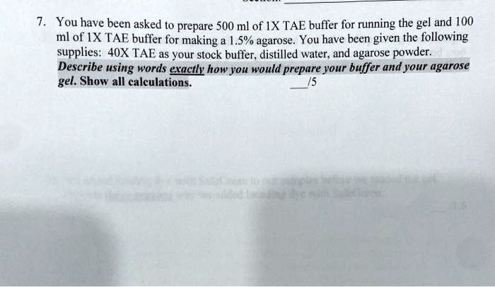 SOLVED: You have been asked to prepare 500 ml of 1X TAE buffer for running the gel and 100 ml of ...