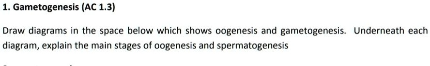 1. Gametogenesis (AC 1.3) Draw diagrams in the space below which shows ...