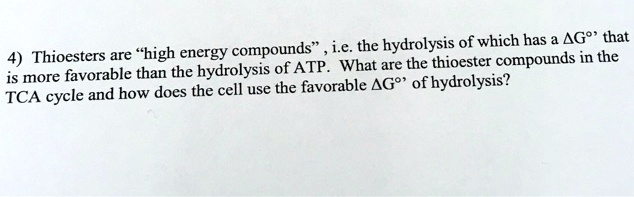 ie the hydrolysis of which has ag that thioesters are high energy ...
