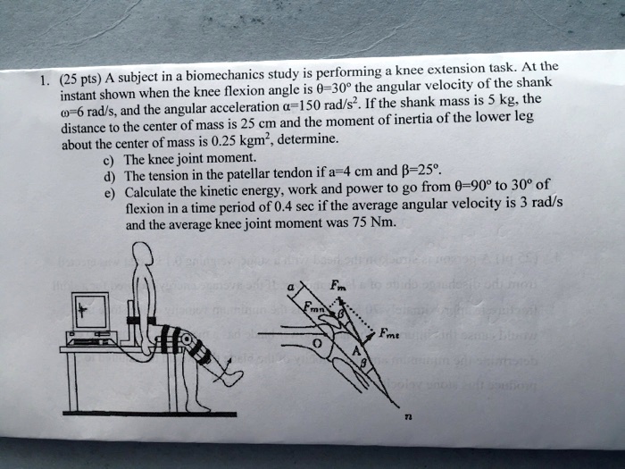 SOLVED: A subject in a biomechanics study is performing a knee ...