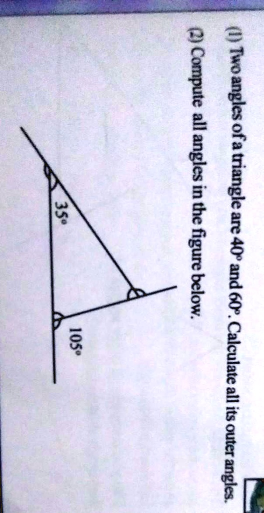 (1) Two angles of a triangle are 40Â° and 60Â°. Calculate all its outer ...