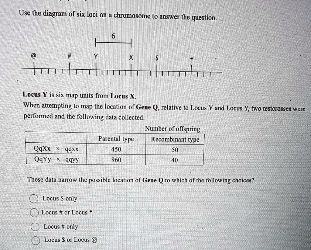 SOLVED: Use the diagram of six loci on a chromosome to answer the ...