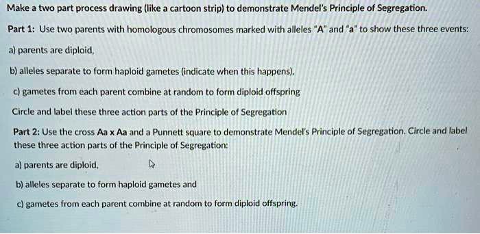 SOLVED: Make a two-part process drawing (like a cartoon strip) to ...