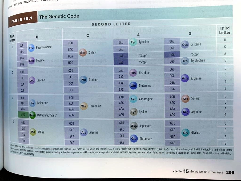 SOLVED: Once nucleonar. Much" Ahn 15.1 The Genetic Code TABLE Second ...