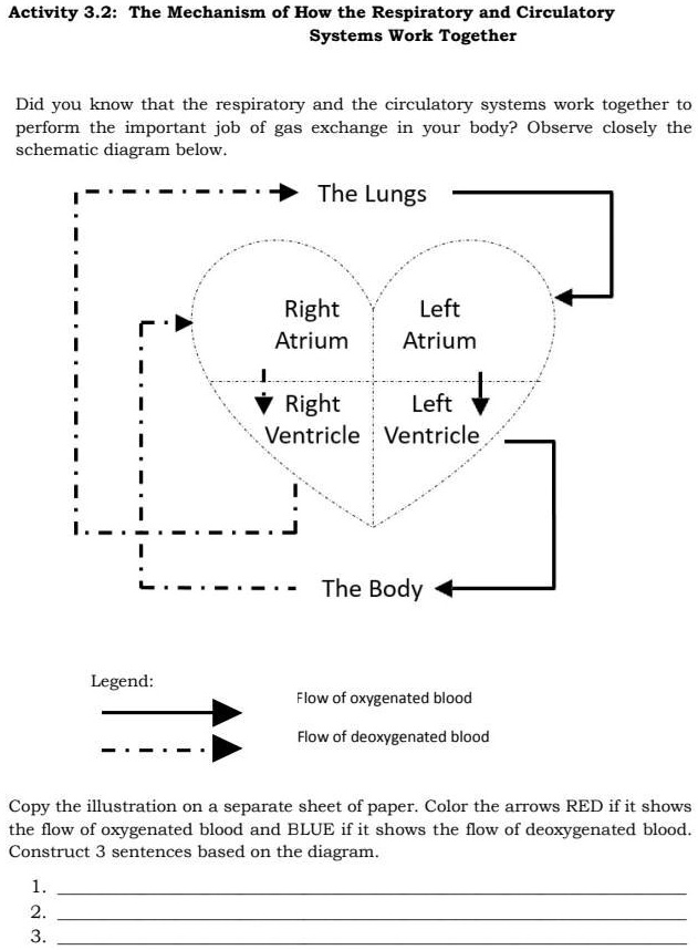 construct the 3 sentences based on the diagram activity 32 the ...