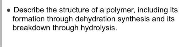 SOLVED: Describe the structure of a polymer; including its formation ...