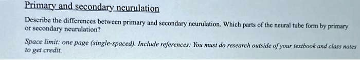 SOLVED: Primary and secondary neurulation Describe the differences between primary and secondary ...