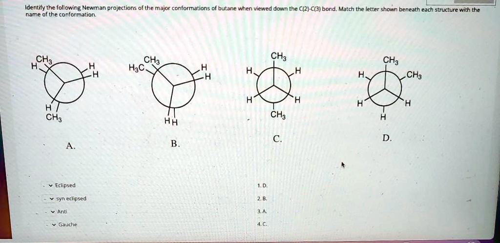 SOLVED: Identify the fallowing Newman projections ofthe major conformations of butane when ...