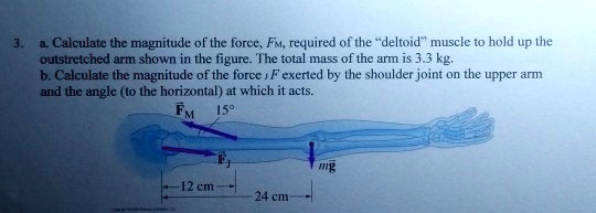 calculate the magnitude of the force fm required of the deltoid muscle ...