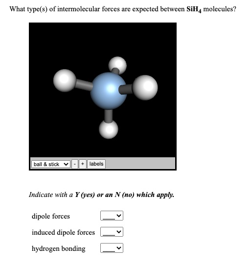 SOLVED: What type(s) of intermolecular forces are expected between SiH4 ...