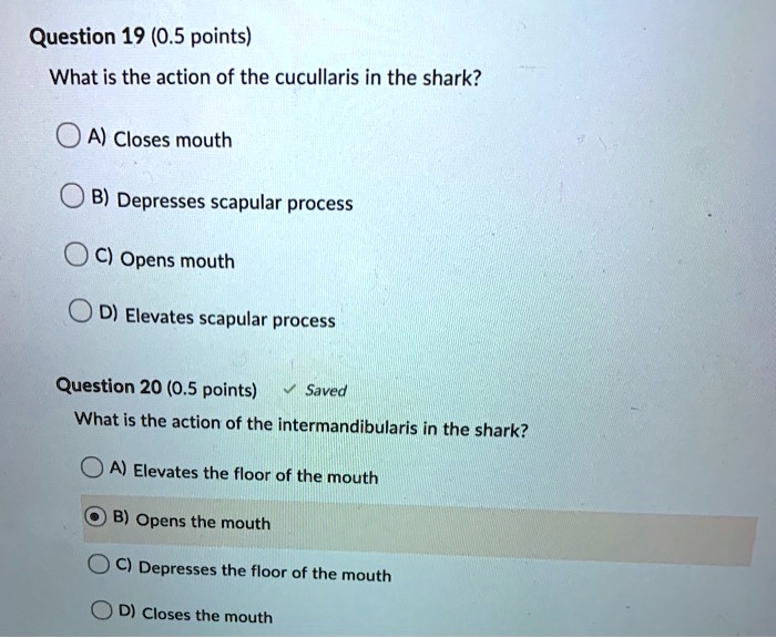 question 19 05 points what is the action of the cucullaris in the shark ...