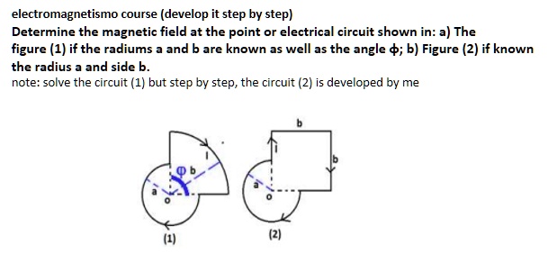 SOLVED: Electromagnetism Course (Develop it Step by Step) Determine the magnetic field at the ...