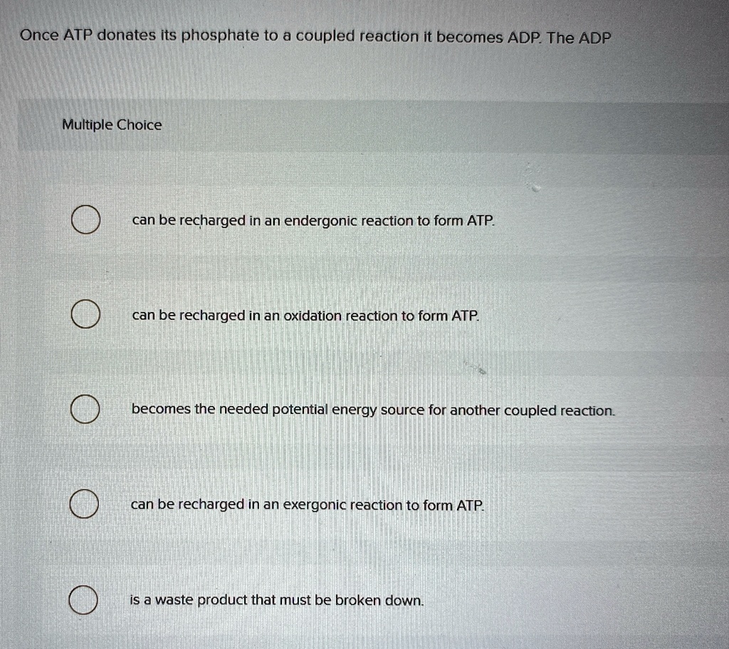 once atp donates its phosphate to a coupled reaction it becomes adp the ...
