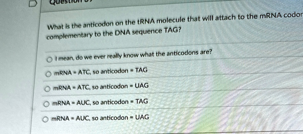 what is the anticodon on the trna molecule that will attach to the mrna codon complementary to ...
