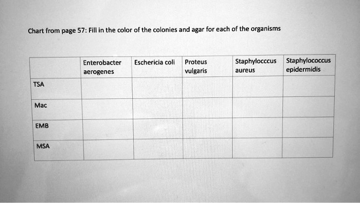 chart from page 57 fill in the color of the colonies and agar for each ...