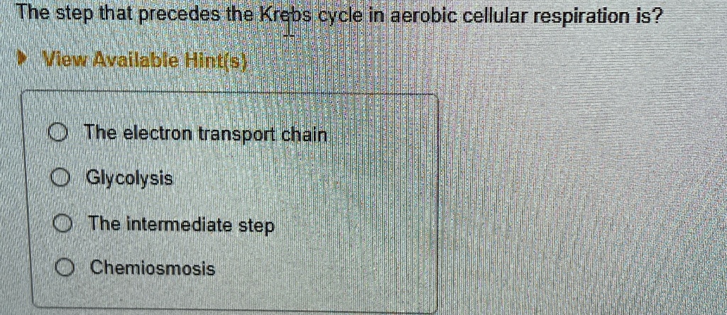 The step that precedes the Krebs cycle in aerobic cellular respiration ...