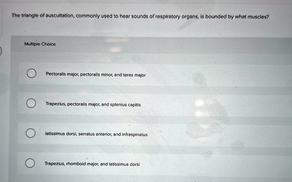 the triangle of auscultation commonly used to hear sounds of ...