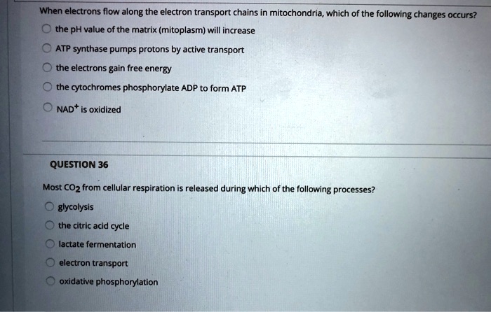 SOLVED: When electrons flow along the electron transport chains ...