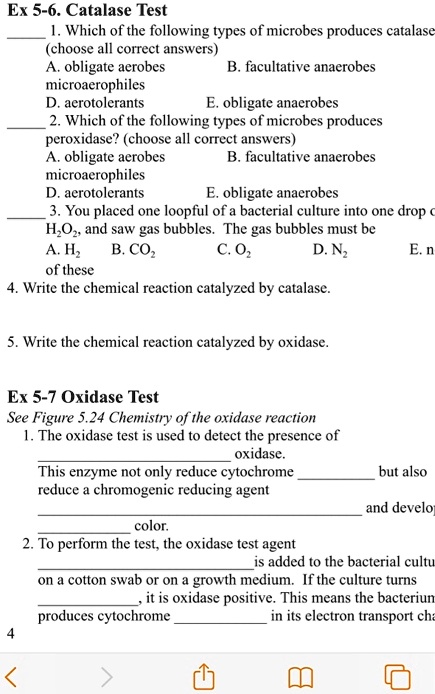 ex 5 6 catalase test which of the following types of microbes produces ...