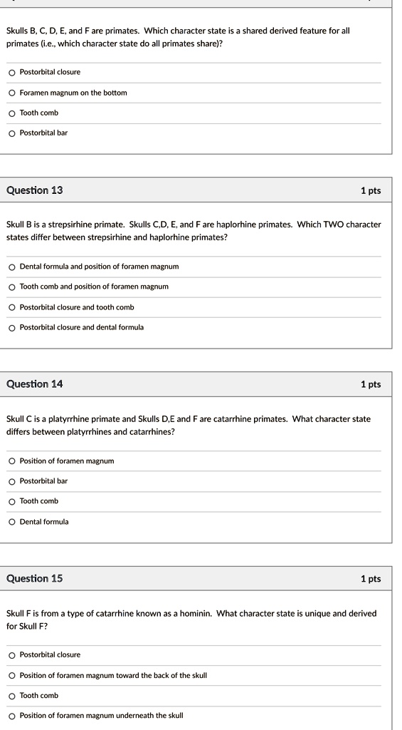 SOLVED: Skulls B, C, D, E, and F are primates: Which character state do ...
