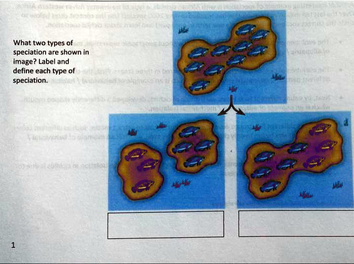 VIDEO solution: What two types of speciation are shown in the image ...
