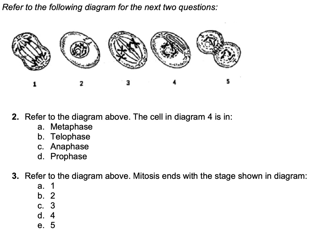 Refer to the following diagram for the next two questions: 1 2 3 5 2 ...