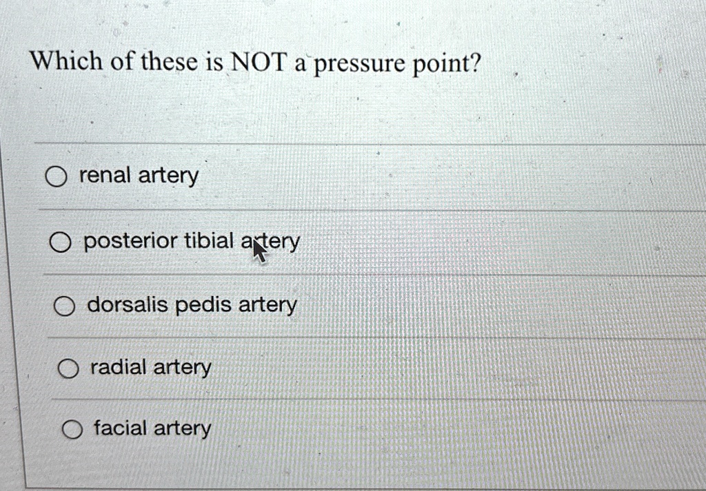 Which of these is NOT a pressure point? renal artery posterior tibial ...